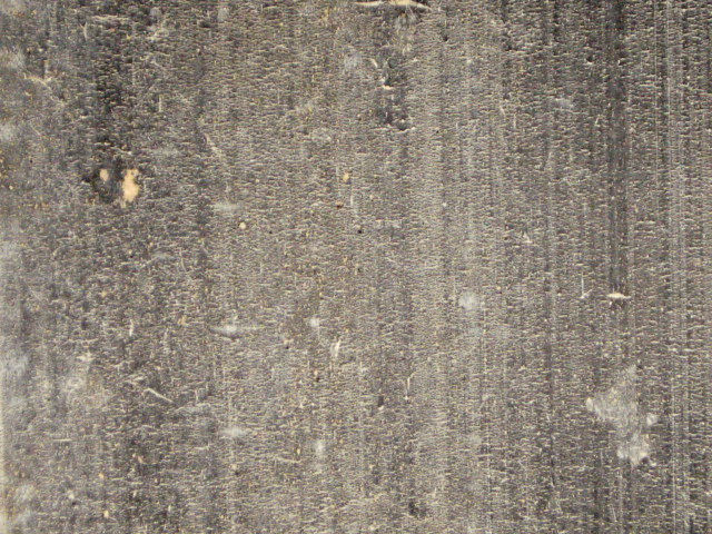 Conveyor Belt Damage